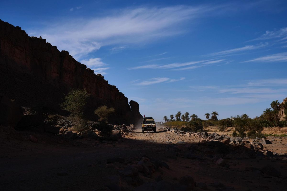 Desert Trophy Panda Edition – Desert Trophy Panda Edition